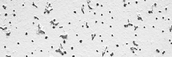 NDF · Ceilings By Design